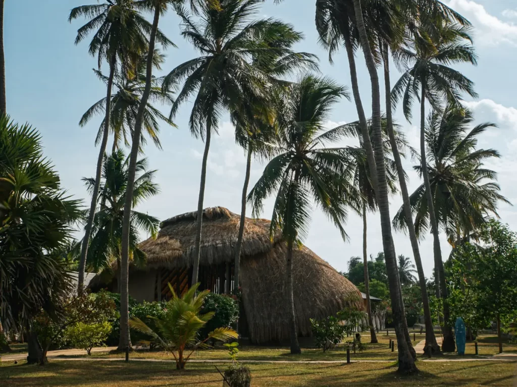 Jetwing Surf Review, Is This Arugam Bay’s Bit Of Luxury? | Tales Of The ...